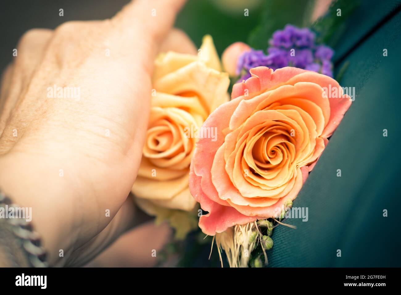 Pinning corsage hi-res stock photography and images - Alamy