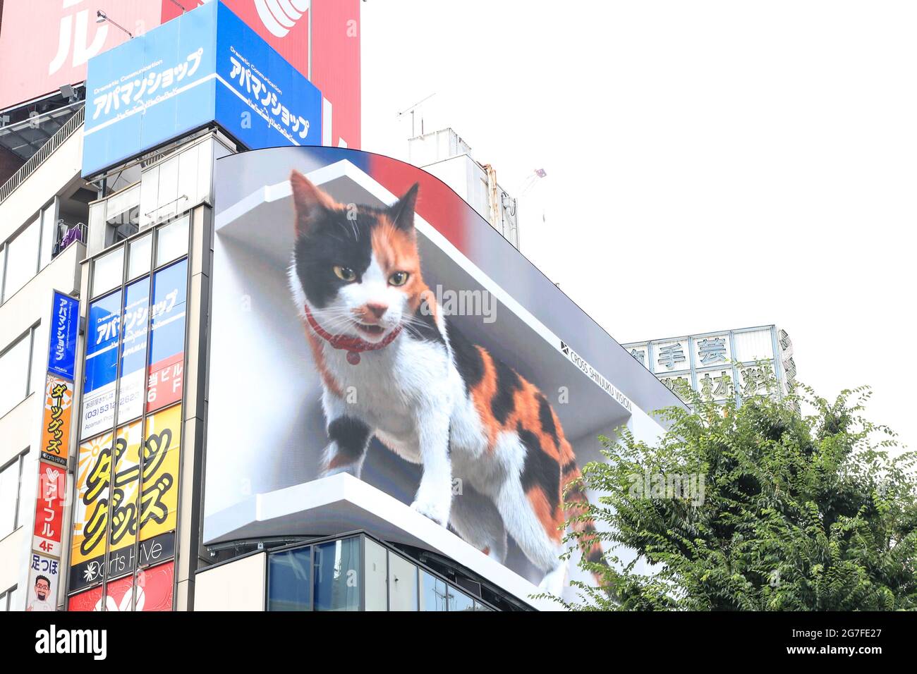 A giant digital 3D cat is displayed on a 4K billboard in Tokyo's ...