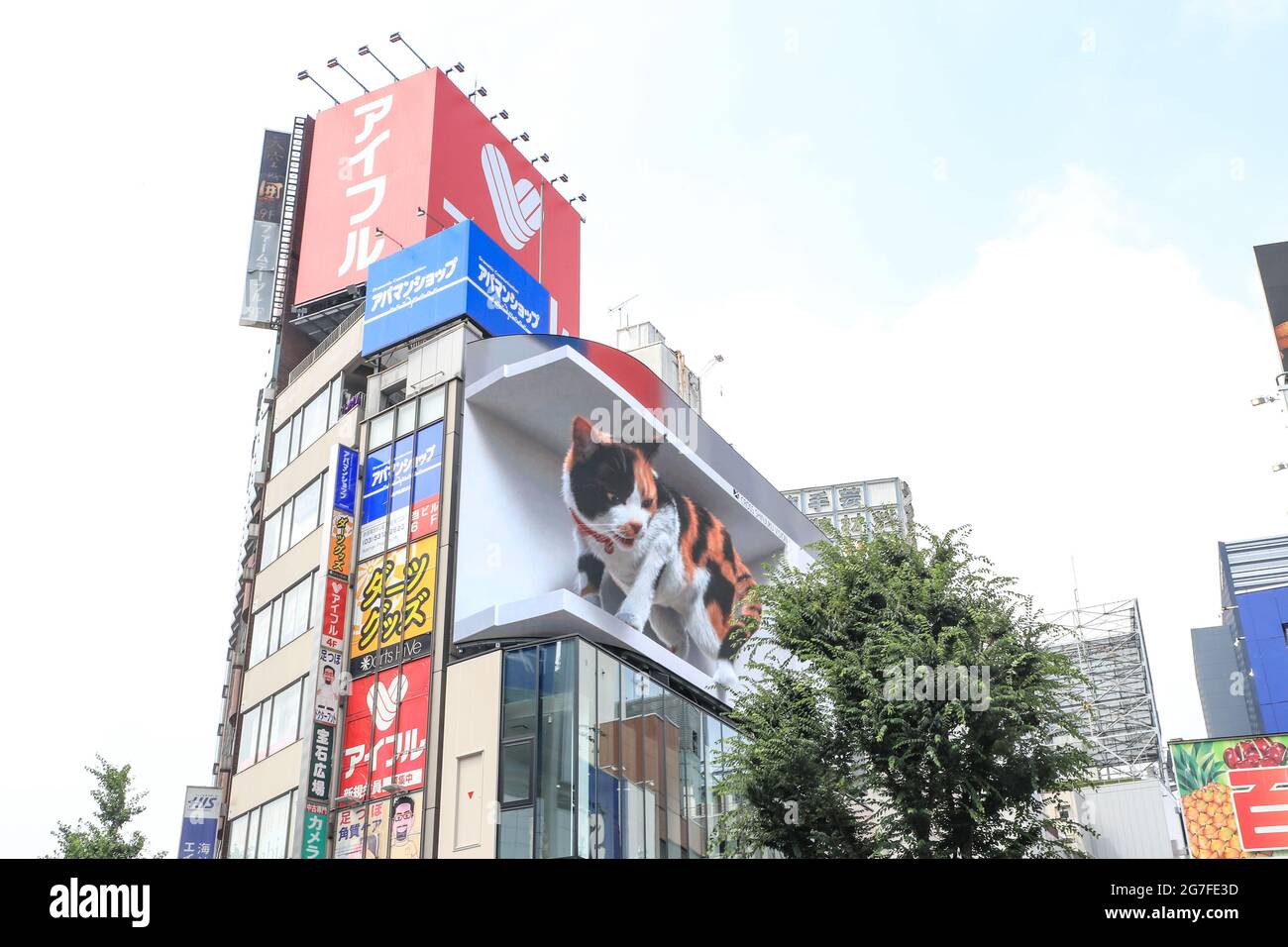 A giant digital 3D cat is displayed on a 4K billboard in Tokyo's ...