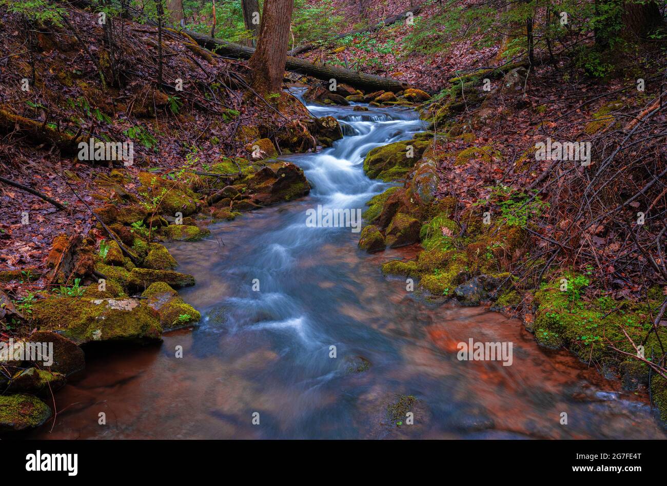 Gambrill state park hi-res stock photography and images - Alamy