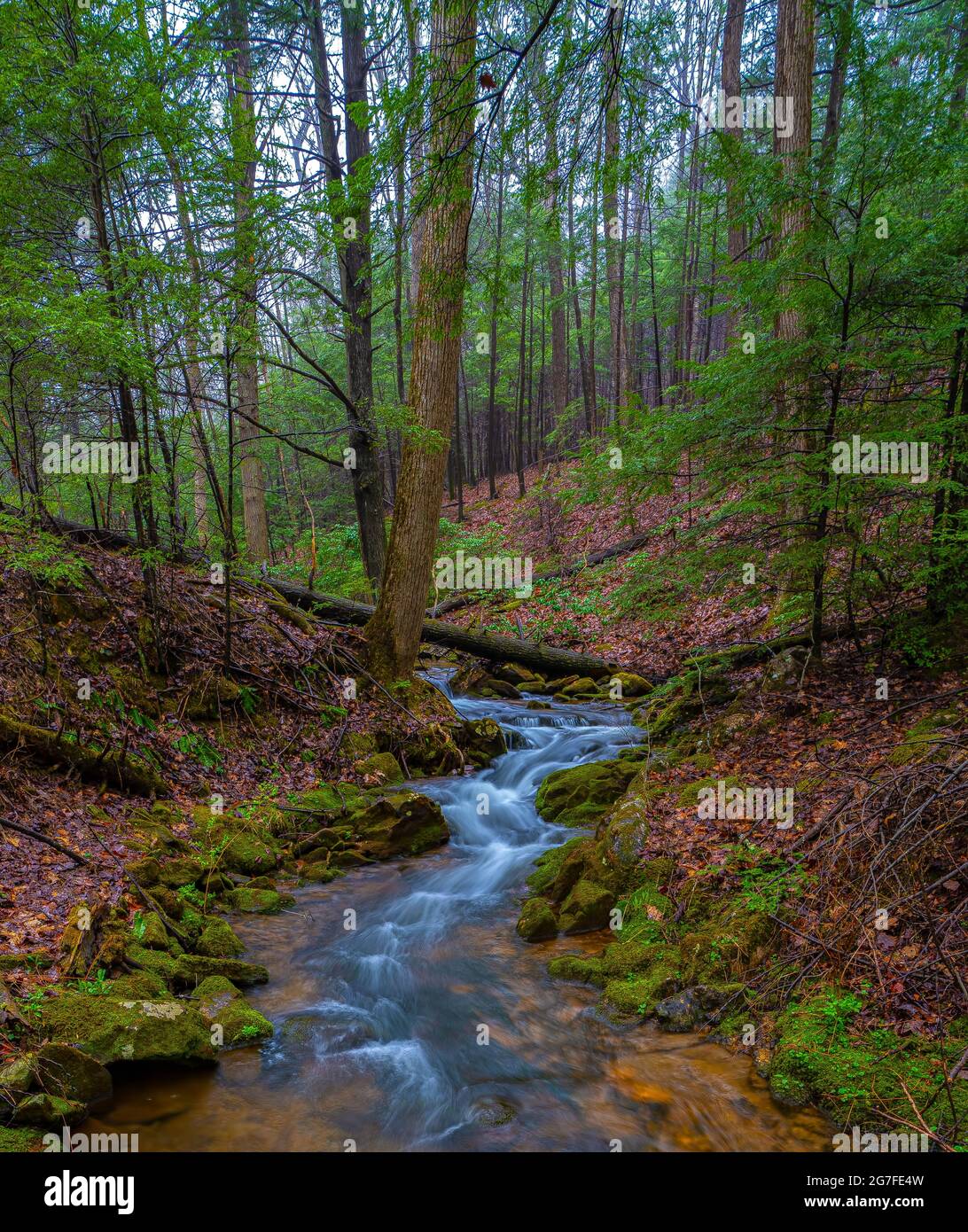 Gambrill state park hi-res stock photography and images - Alamy