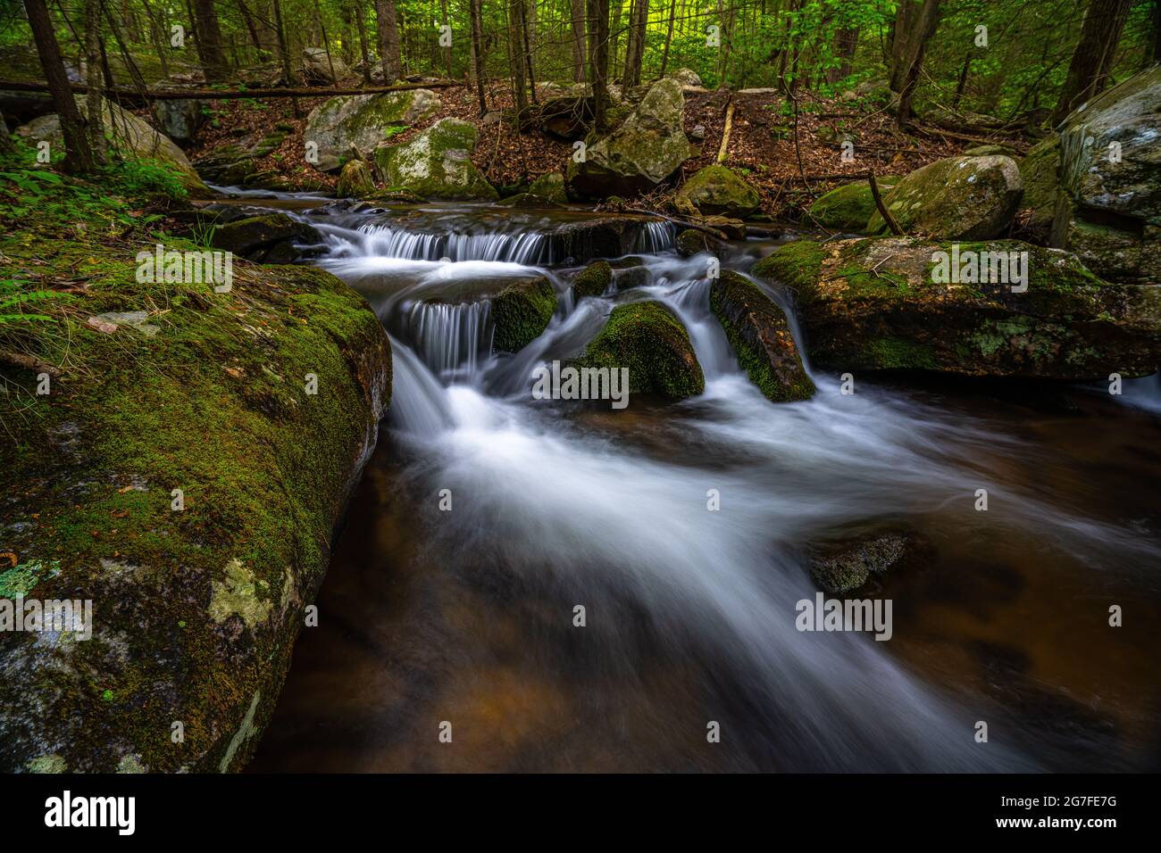 Forest sream hi-res stock photography and images - Alamy