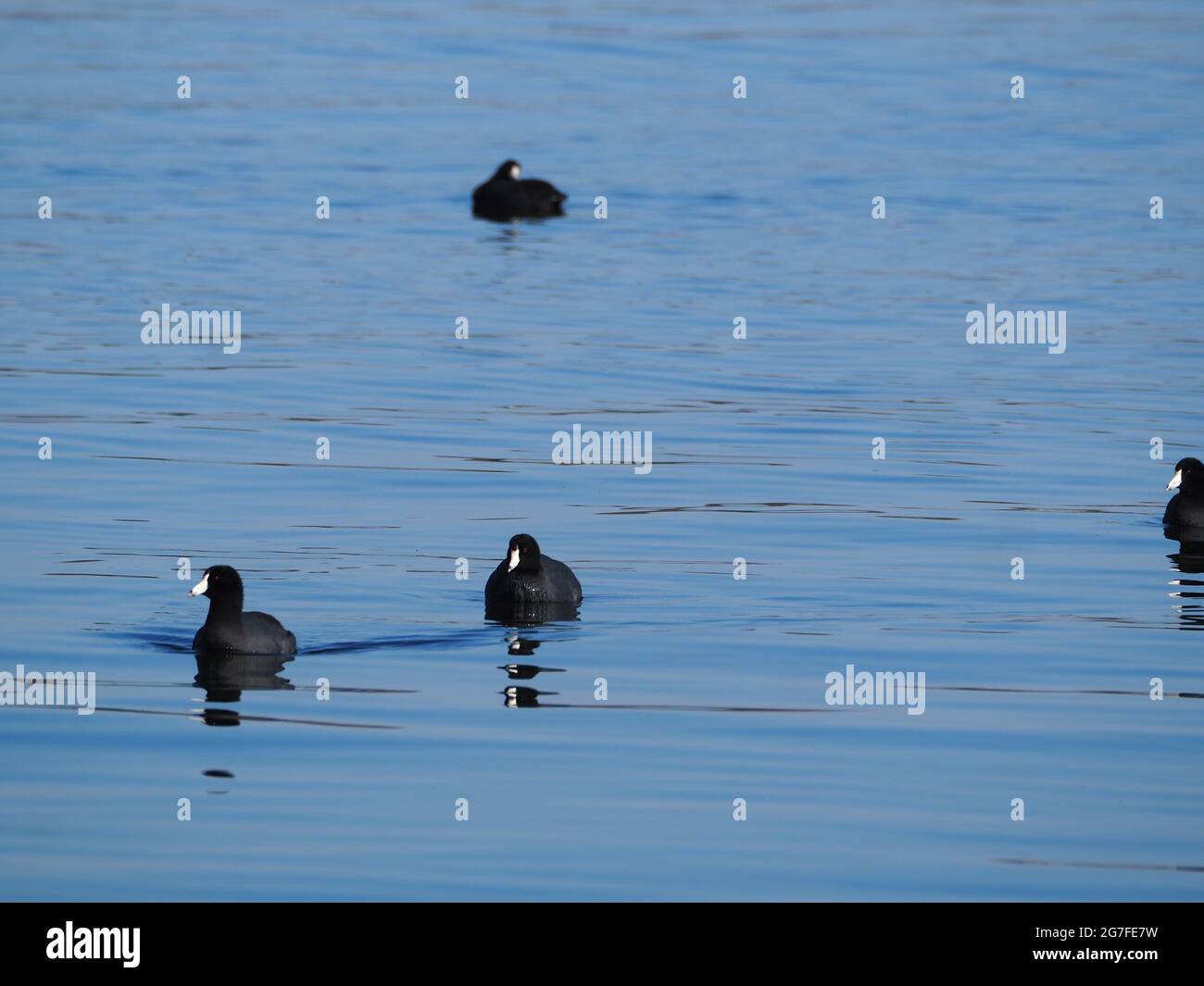 Lansing north hi-res stock photography and images - Alamy