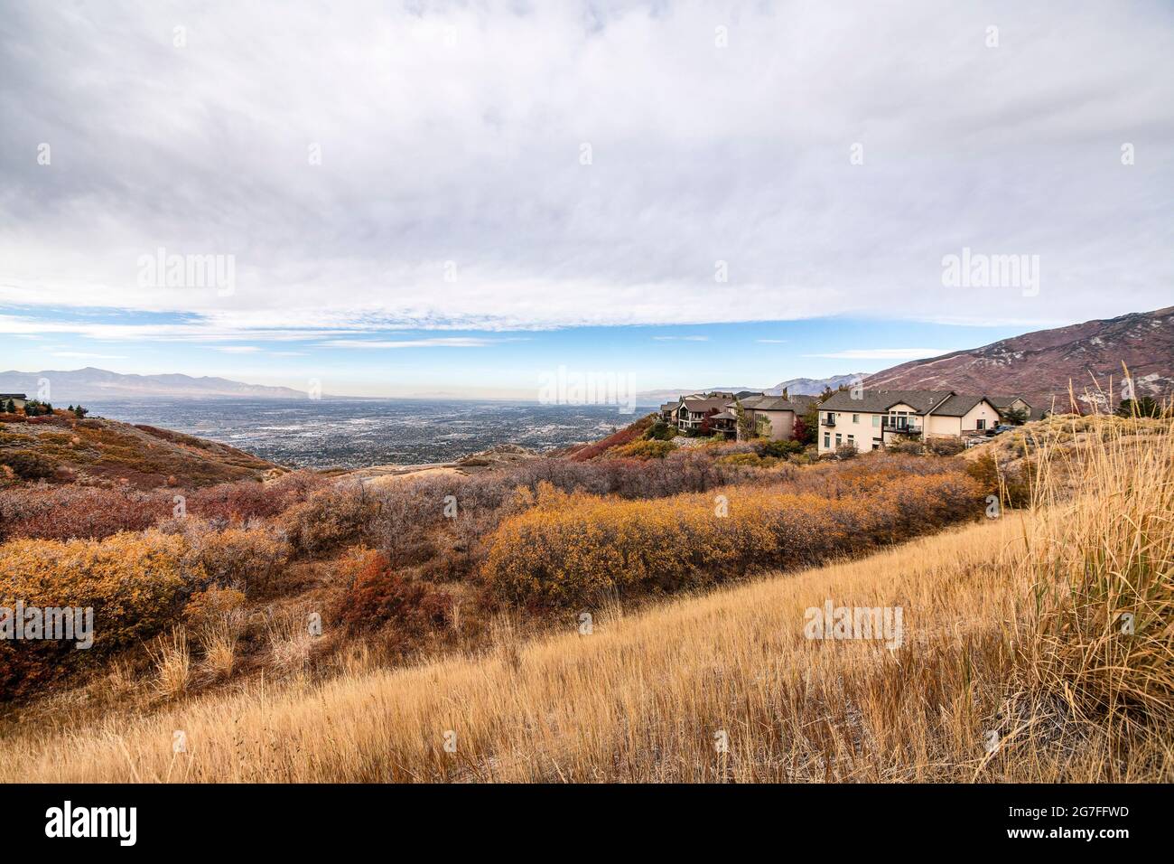 Vast of shrubs and grass in front of the residential area on top of a ...