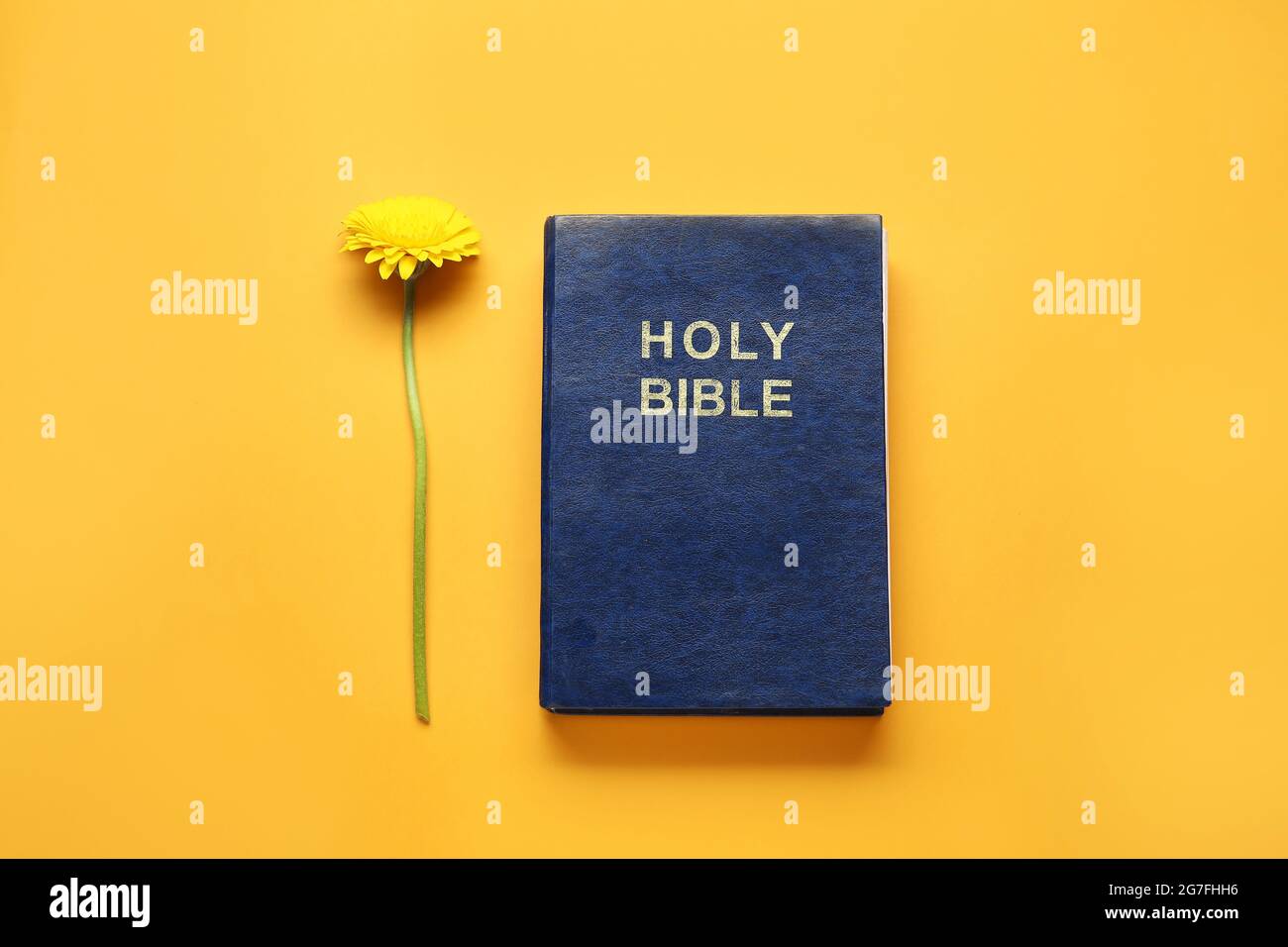 Blue floral bible cover hi-res stock photography and images - Alamy