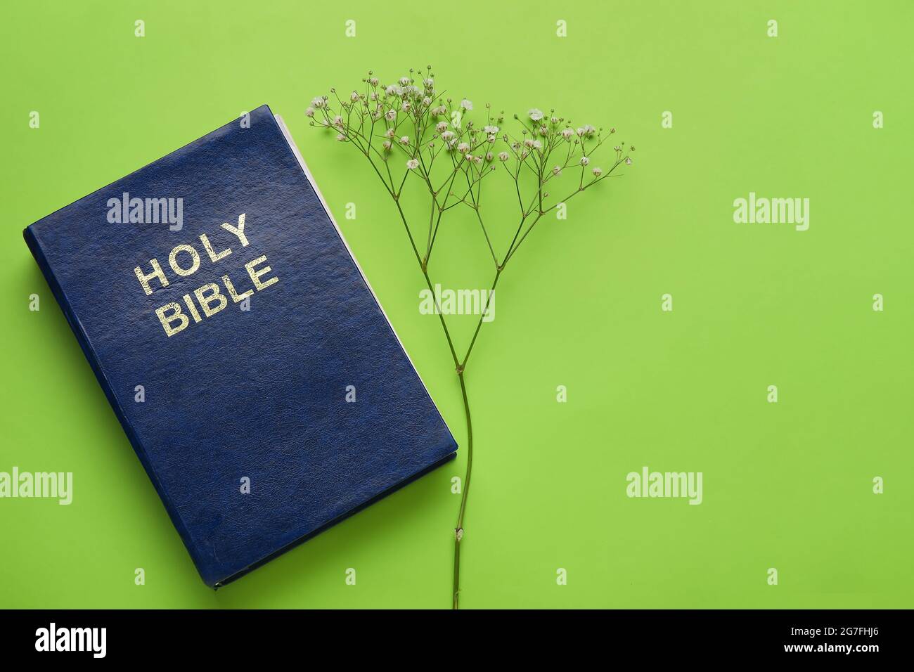 Holy Bible and flowers on color background Stock Photo - Alamy