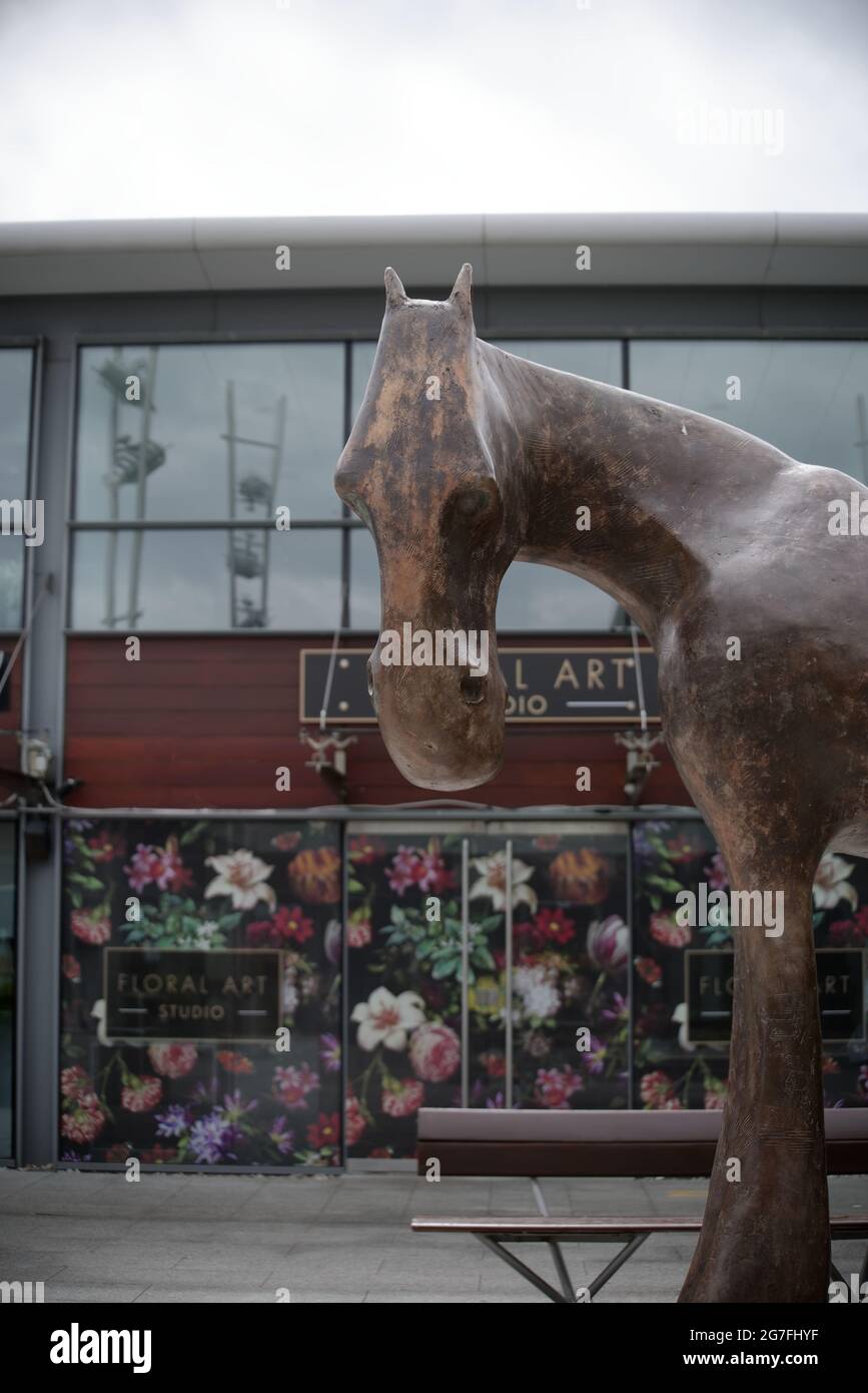GREYSTONES, IRELAND - Jun 07, 2021: Portrait of "Emer", the life size ...