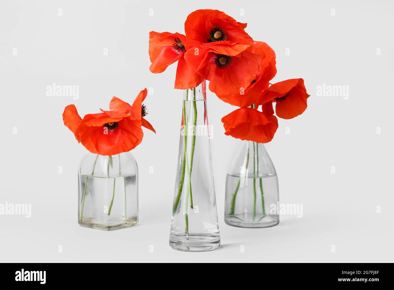 Vases with beautiful red poppy flowers on light background Stock Photo ...