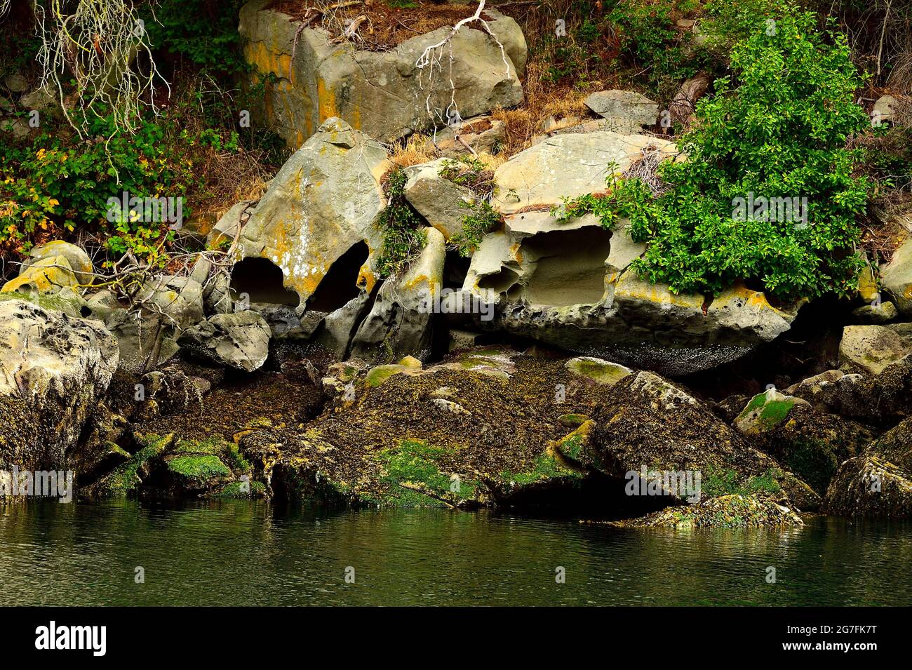 A landscape image of soft rock on the shoreline on Vancouver Island ...