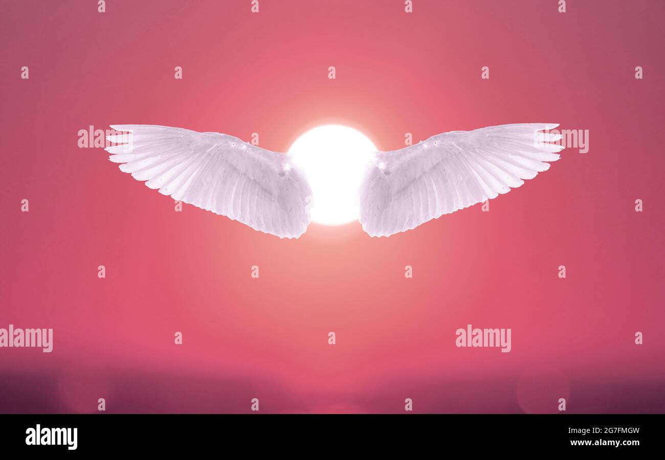 Angel wings sky hi-res stock photography and images - Alamy