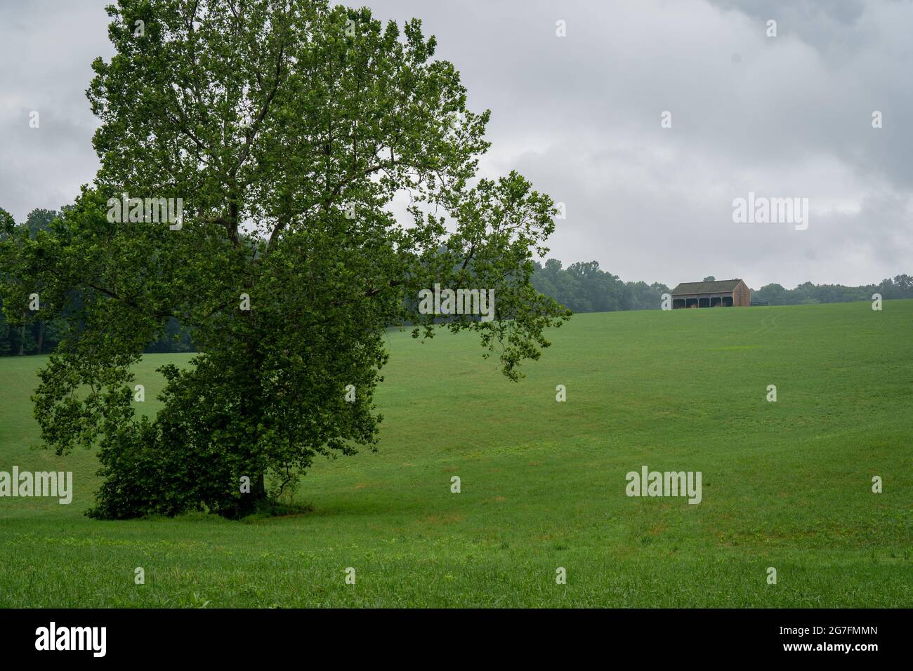 Lone tree in a wide-open field with a barn on the ridge in the ...