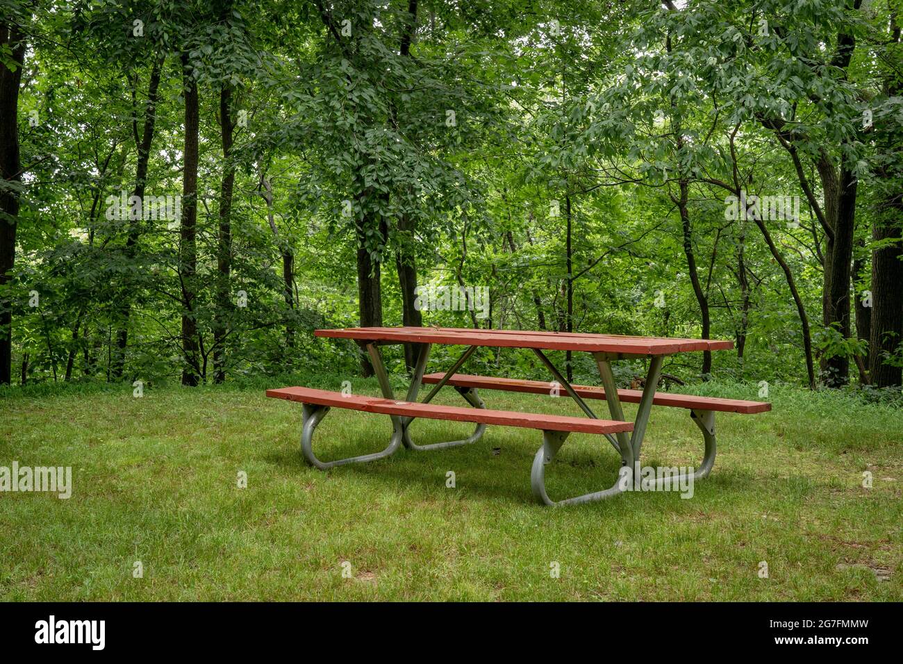 Red picnic table in the forest in summer Stock Photo - Alamy