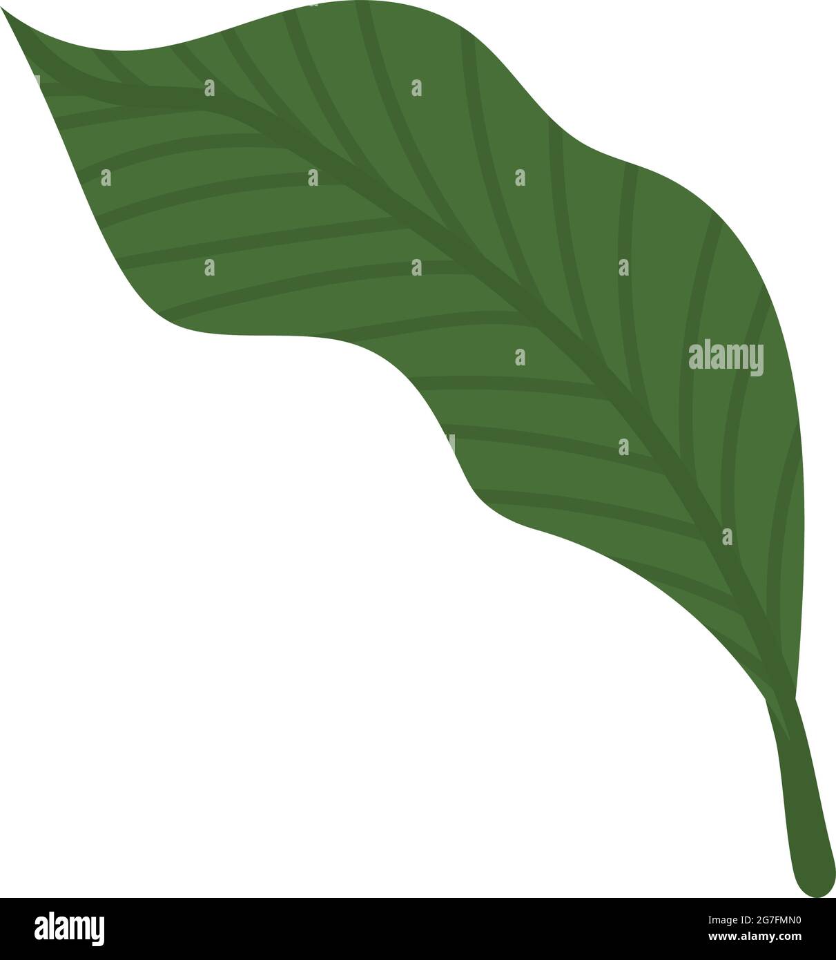 garden lanceolate leaf Stock Vector Image & Art - Alamy