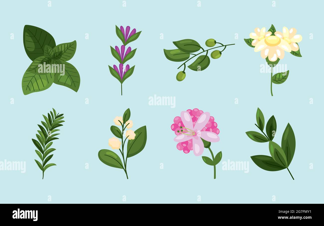 eight spring nature set icons Stock Vector Image & Art - Alamy