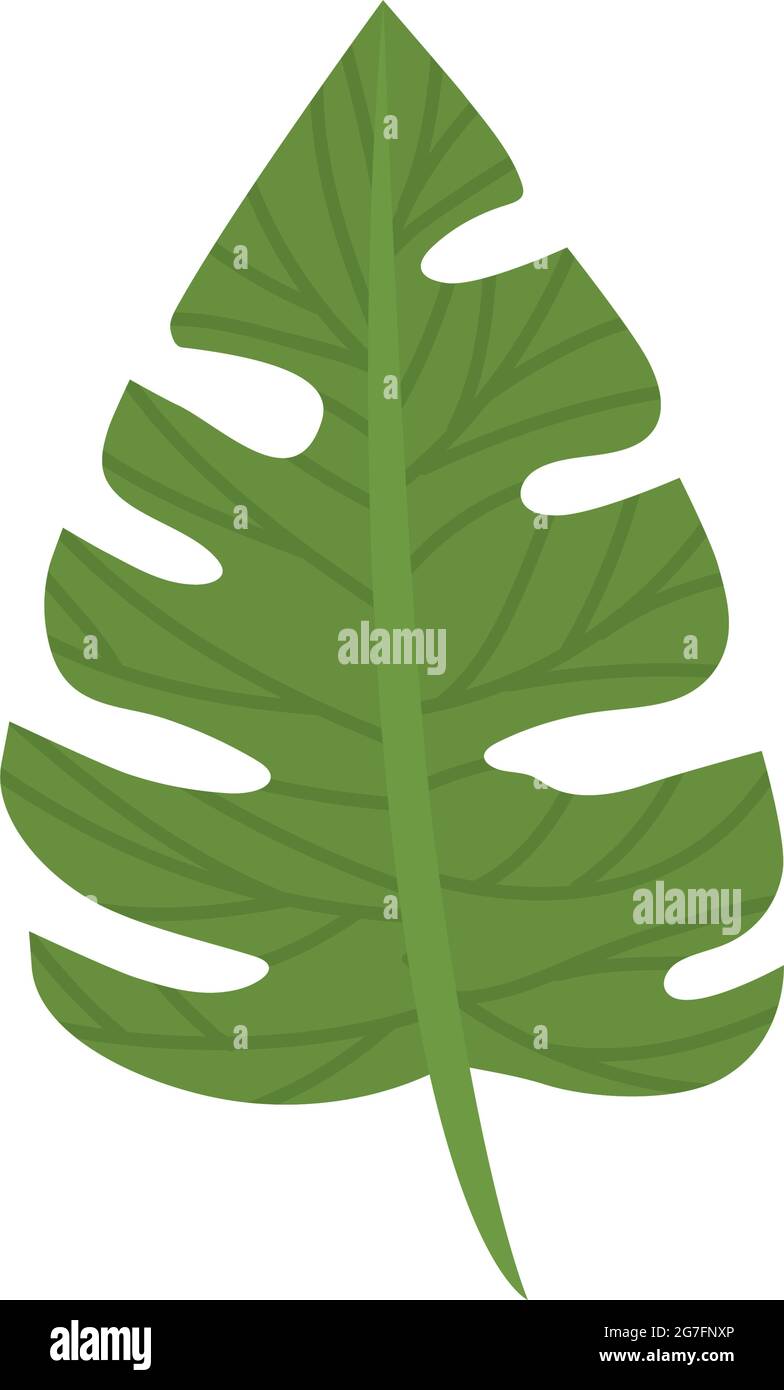 pretty monstera design Stock Vector Image & Art - Alamy