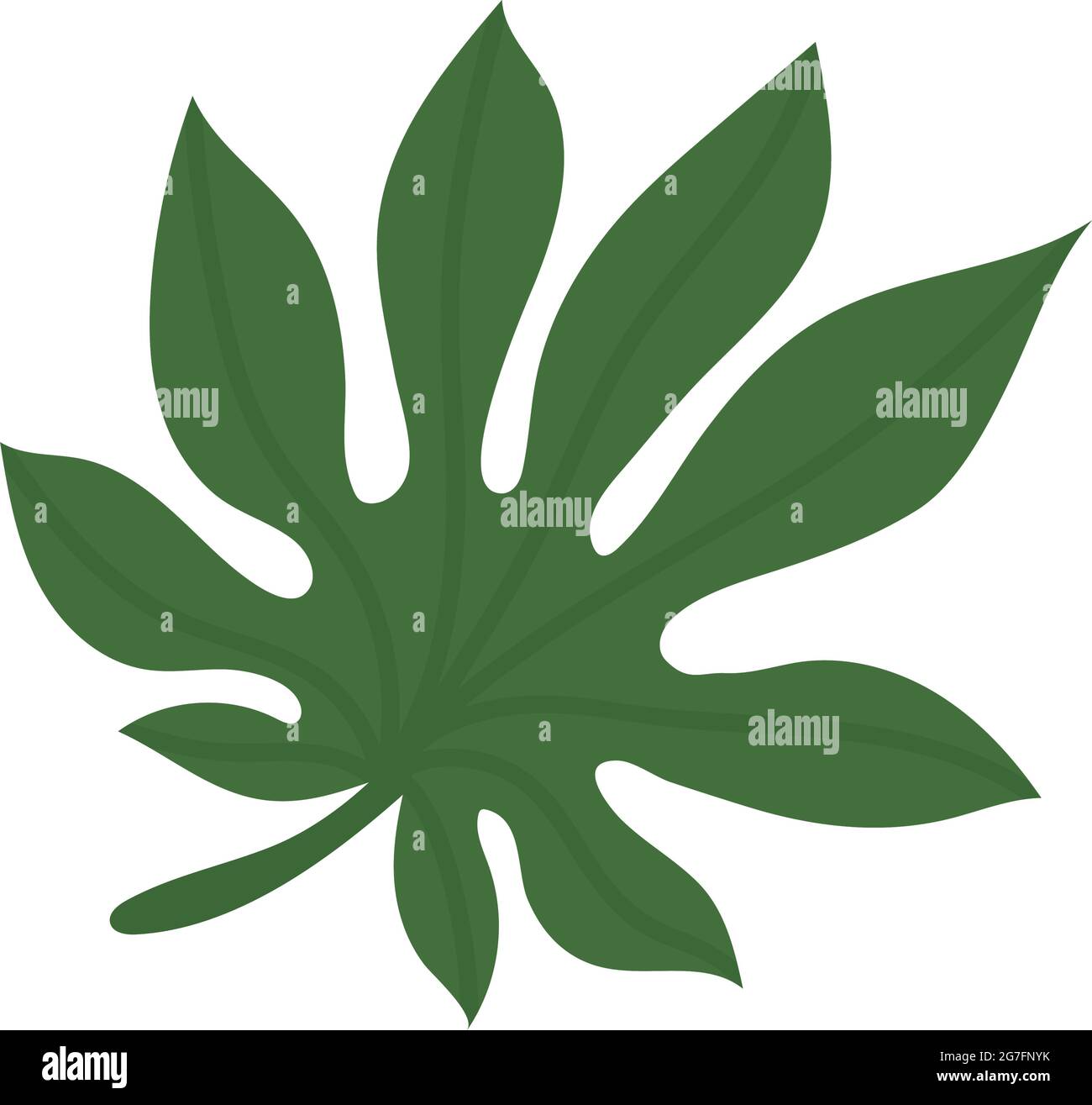 webbed leaf design Stock Vector Image & Art - Alamy