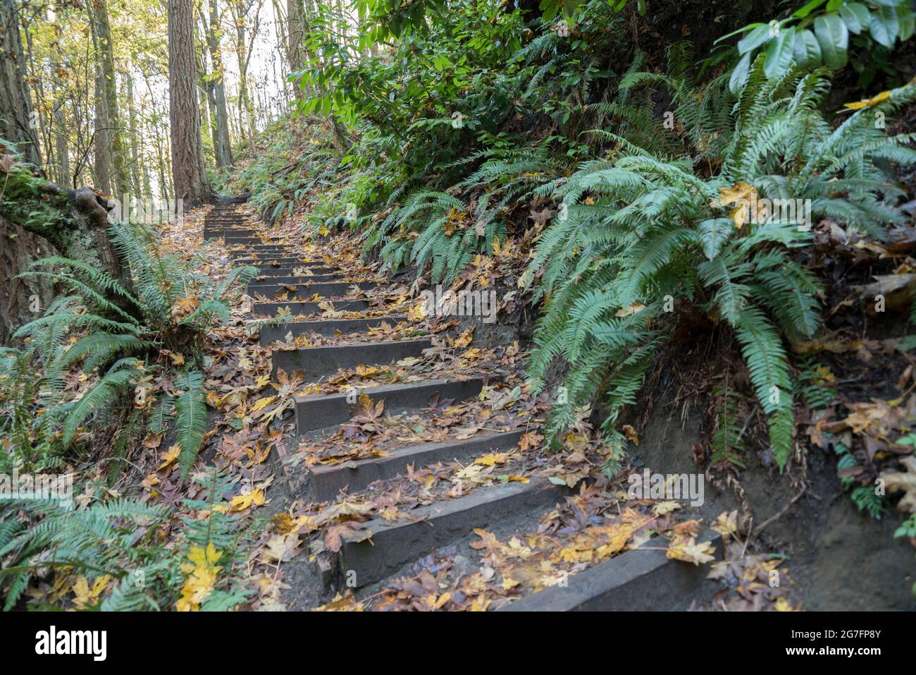 Weathered stairs on trail hi-res stock photography and images - Alamy