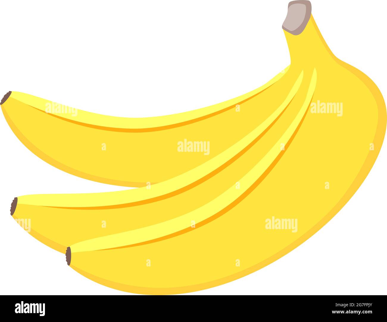 Banana bunch vector isolated fruit illustration on white Stock Vector ...