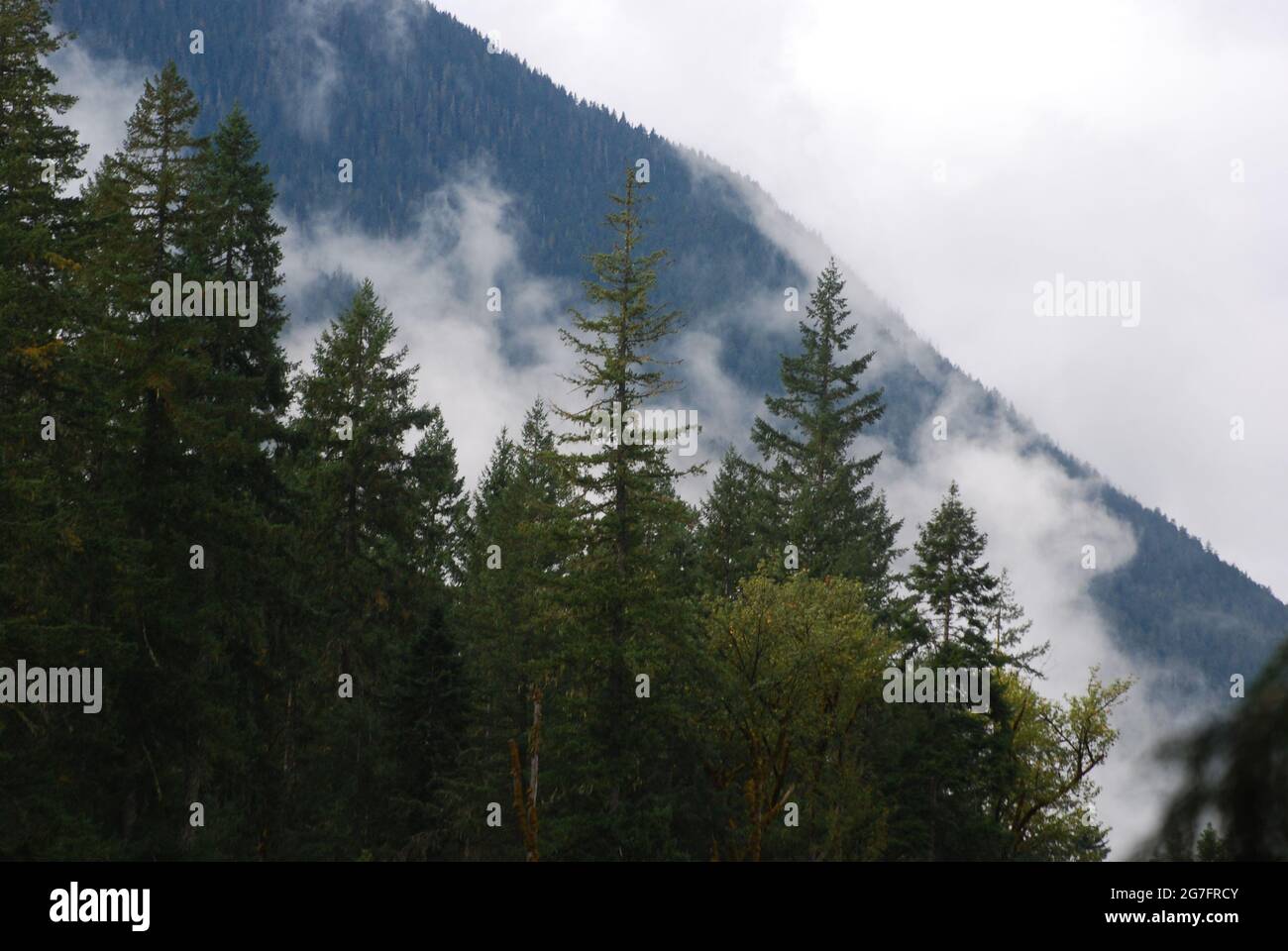 Cascade morning hi-res stock photography and images - Alamy