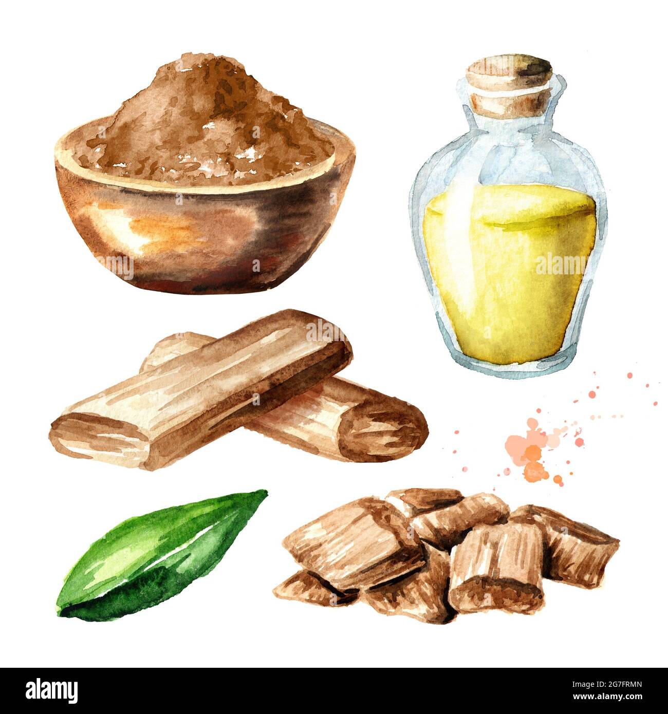 Sandalwood or Chandan set. Watercolor hand drawn illustration isolated ...