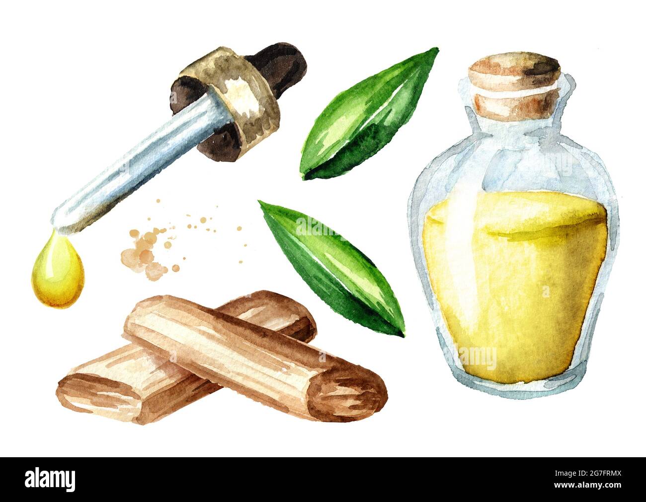 Sandalwood or Chandan essential oil and Sticks with green leaves set ...