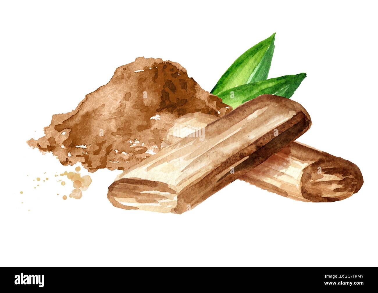 Sandalwood or Chandan Sticks and powder with green leaves. Watercolor ...