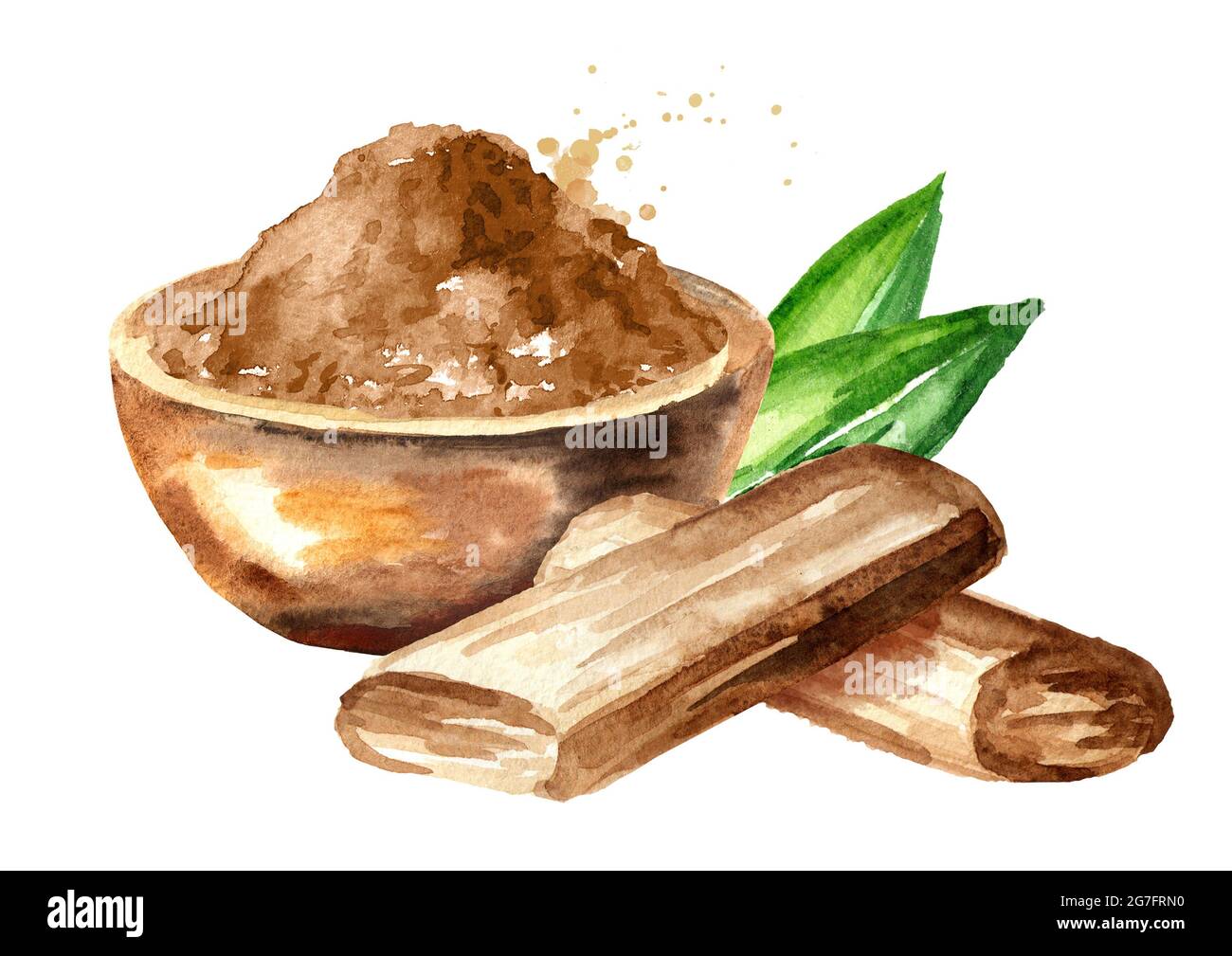 Sandalwood or Chandan Sticks and powder with green leaves. Watercolor ...