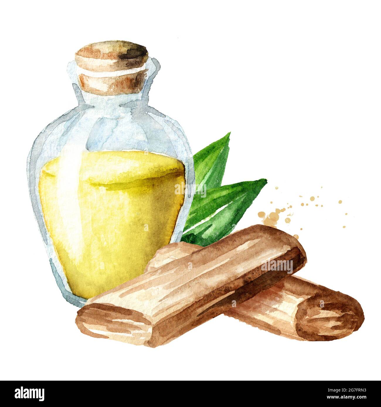 Sandalwood or Chandan essential oil and Sticks with green leaves ...