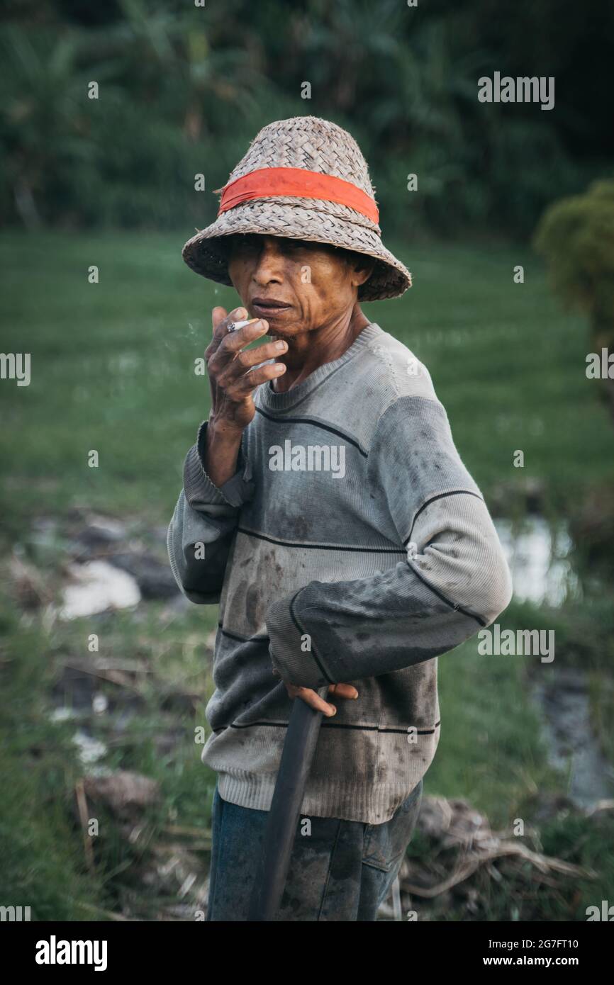 BALI, INDONESIA - Mar 16, 2020: Old Indonesian paddy field worker ...