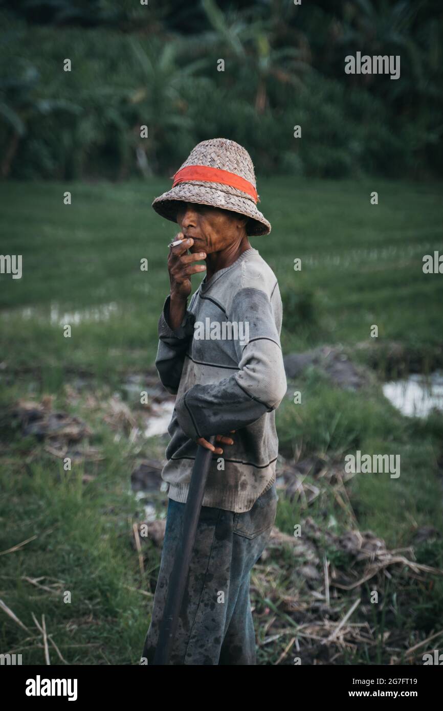 BALI, INDONESIA - Mar 16, 2020: Old Indonesian paddy field worker ...