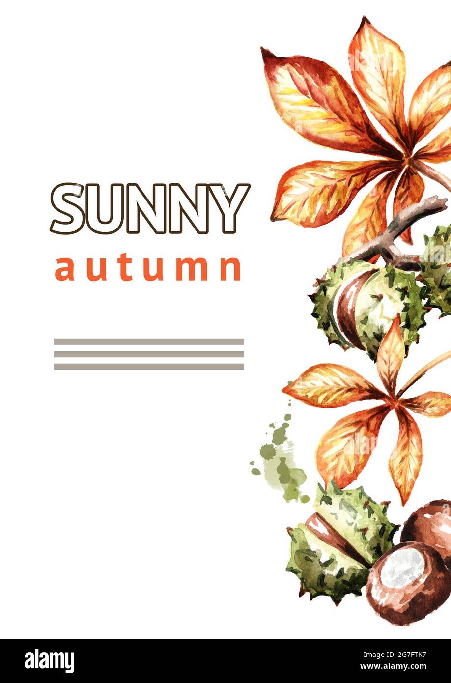 Chestnuts and leaves background. Watercolor hand-drawn template Stock ...