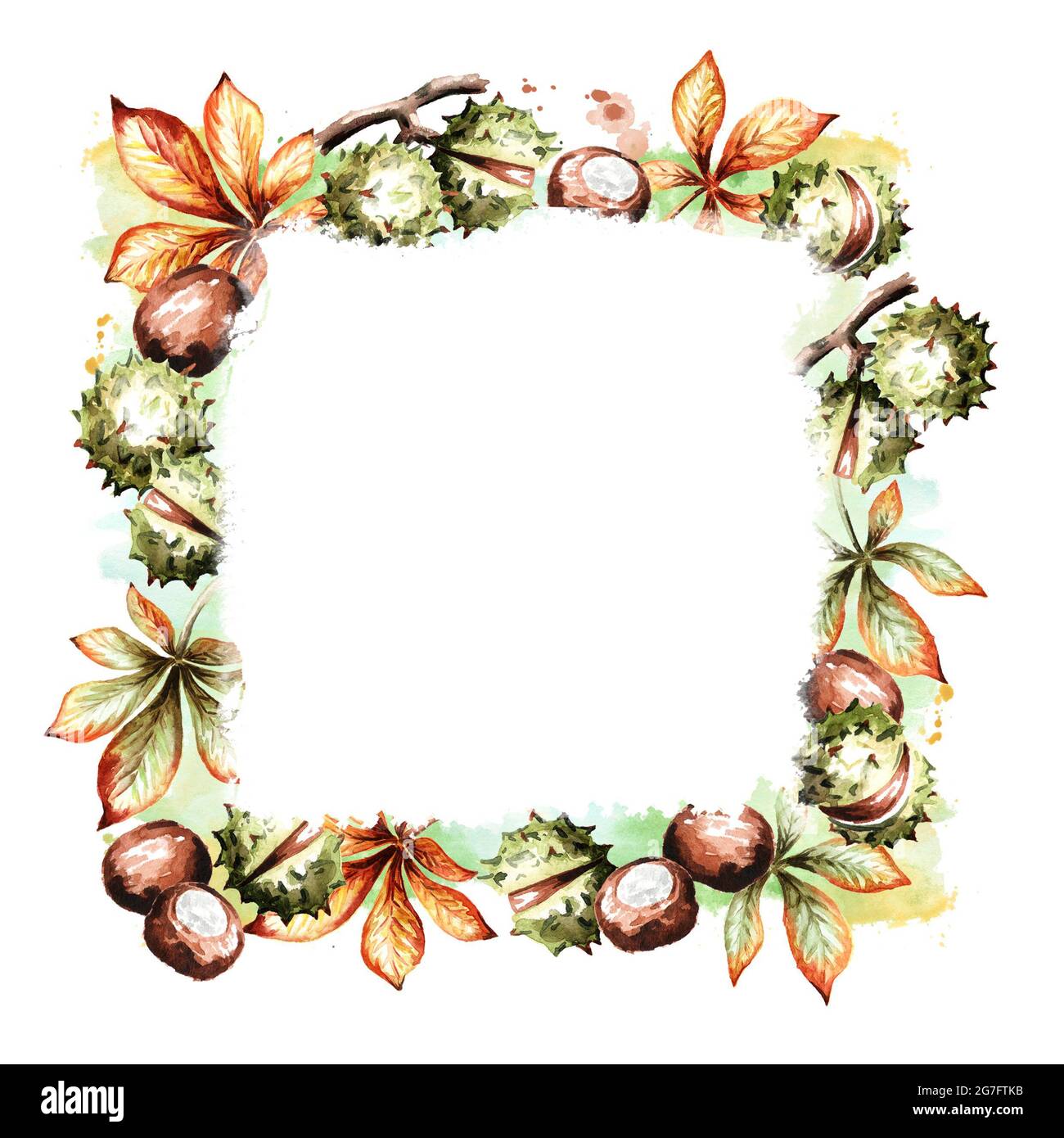 Chestnuts and leaves square template. Watercolor hand-drawn background ...