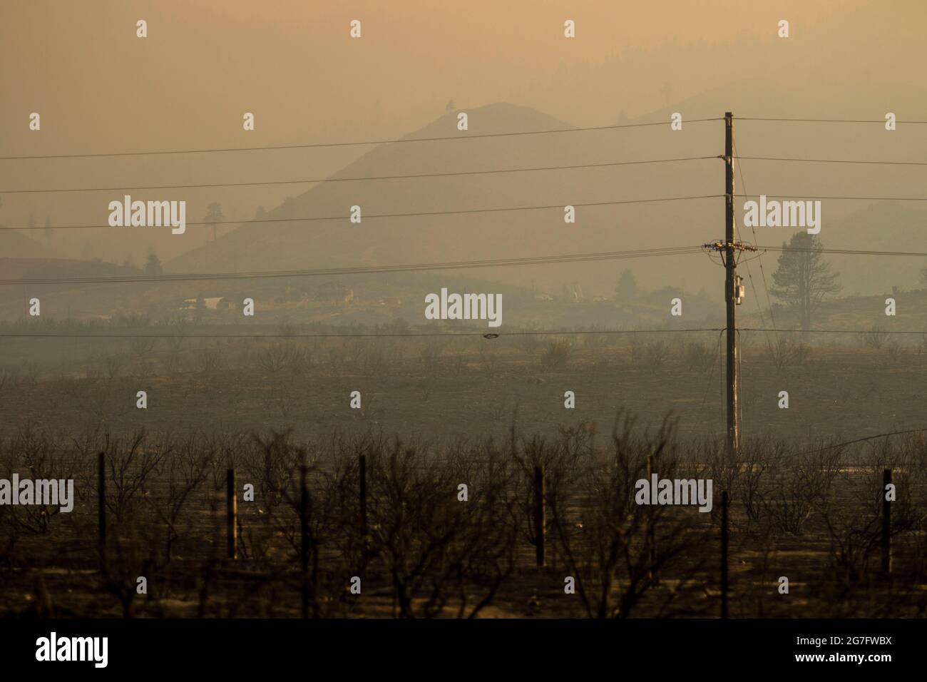 Fire Poles High Resolution Stock Photography and Images - Alamy