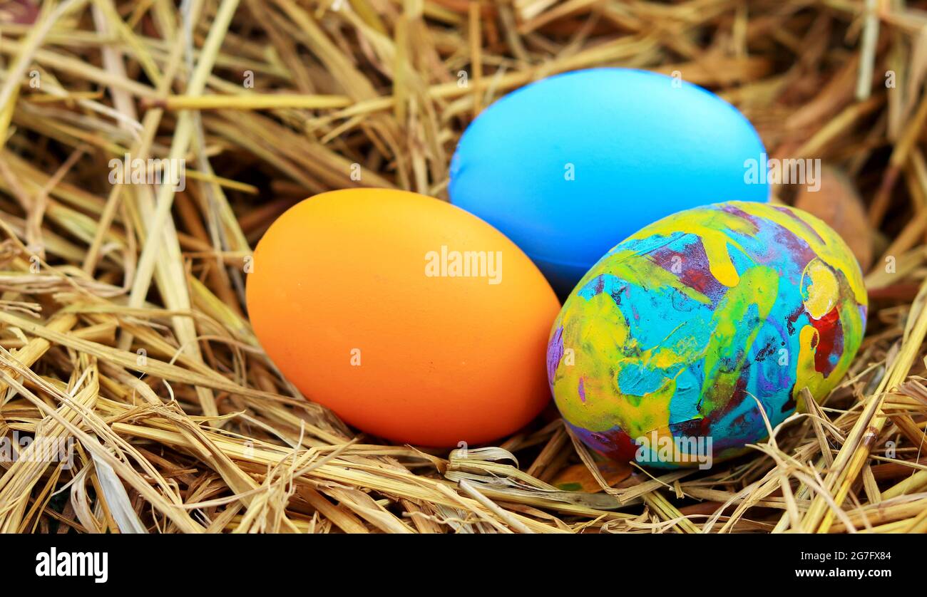 Colorful eggs on grass or straw for Easter Stock Photo - Alamy