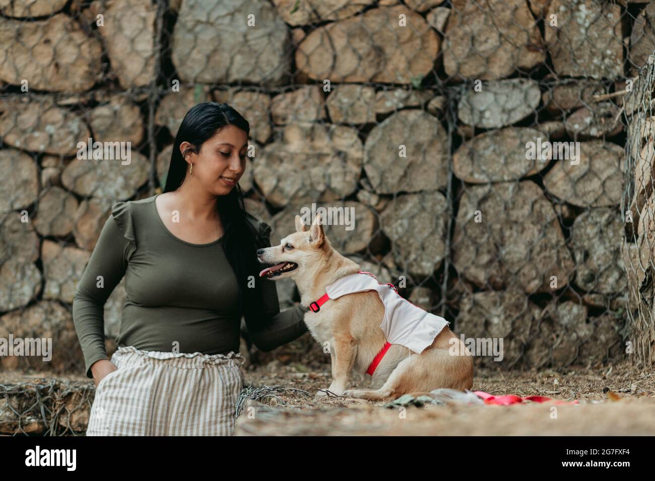 Colombian dog hi-res stock photography and images - Alamy