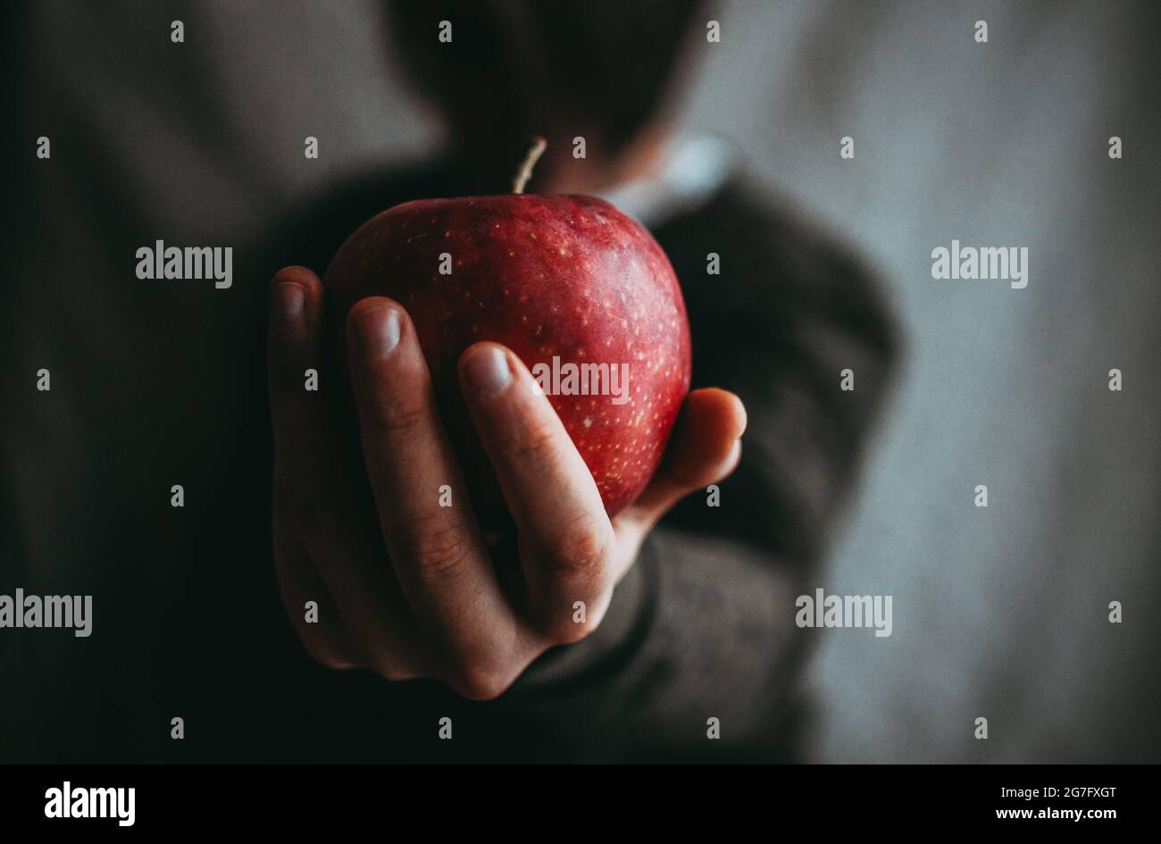 Closeup shot of a female hand holding a red apple isolated on blurred ...
