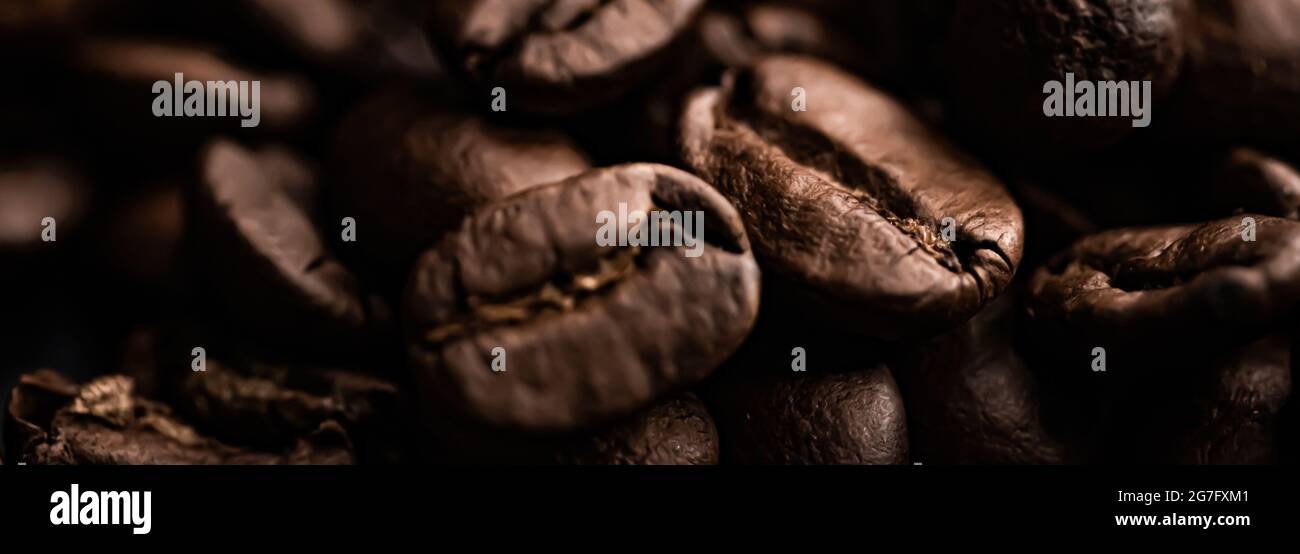 Coffee beans background, roasted signature bean with rich flavour, best ...