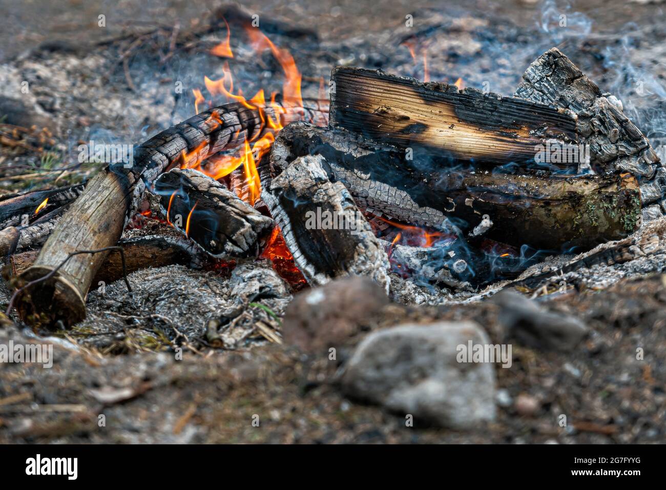 burning firewood, glowing logs, fire and flames closeup photo, burning ...