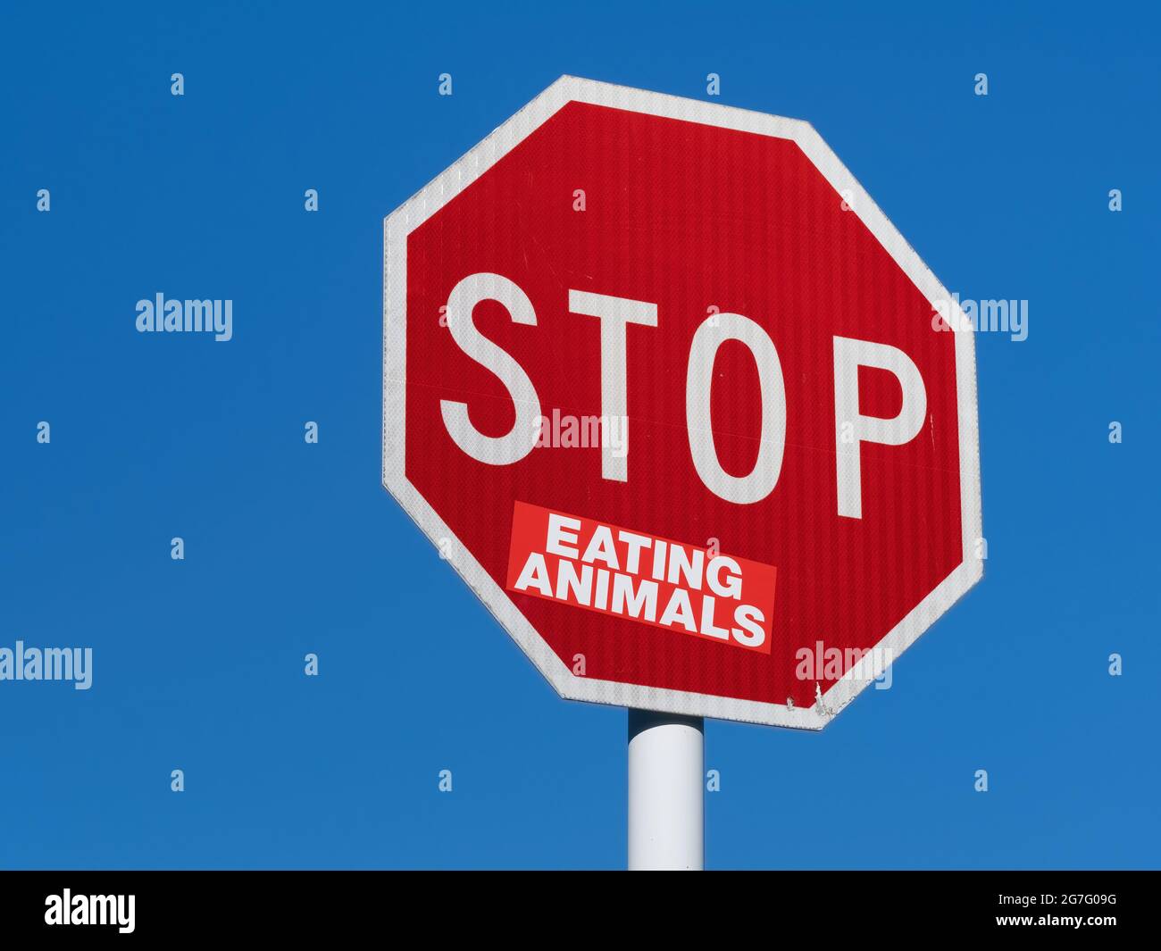 AUCKLAND, NEW ZEALAND - Jul 02, 2021: Stop eating animals road sign ...