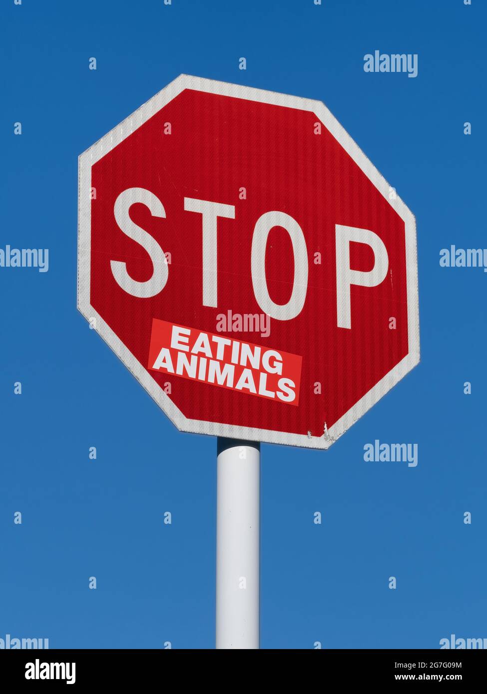 AUCKLAND, NEW ZEALAND - Jul 02, 2021: Stop eating animals road sign ...