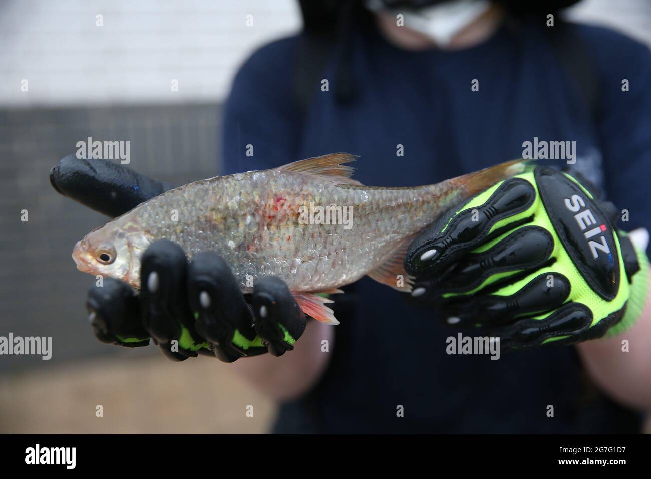 Erkrath, Germany. 14th July, 2021. A firefighter holds a fish she ...