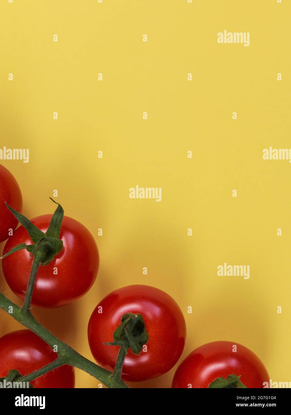 Small red tomatoes hi-res stock photography and images - Alamy