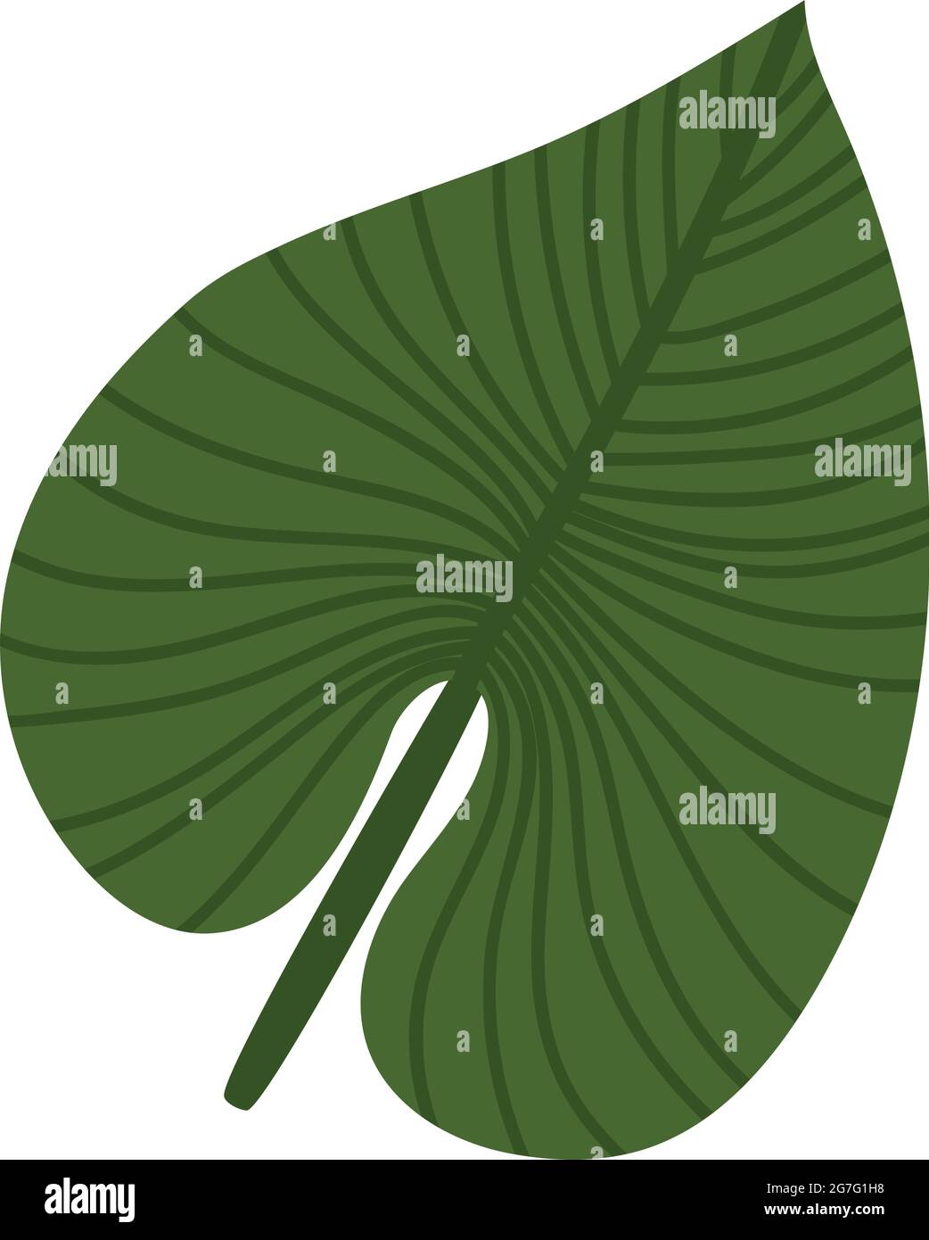 oval leaf design Stock Vector Image & Art - Alamy