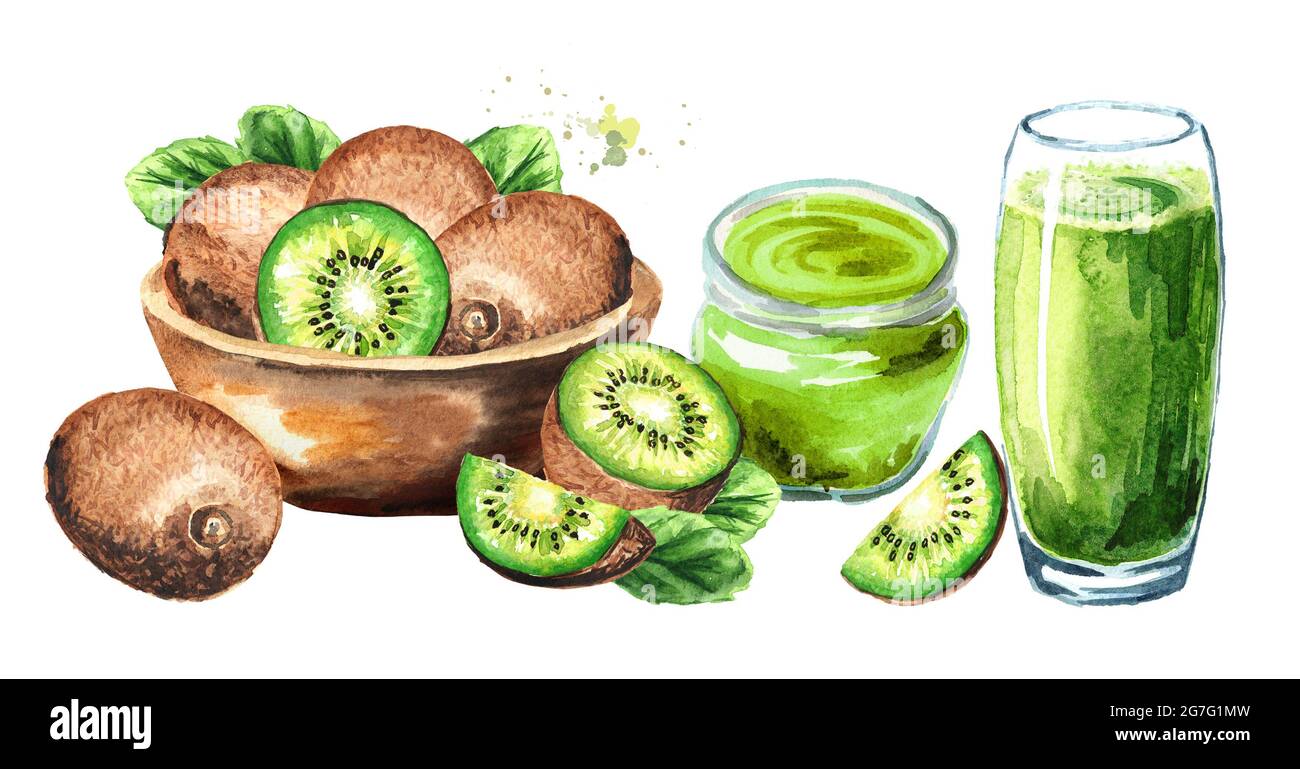 Ripe kiwi fruits, juice and jam. Watercolor hand drawn illustration ...