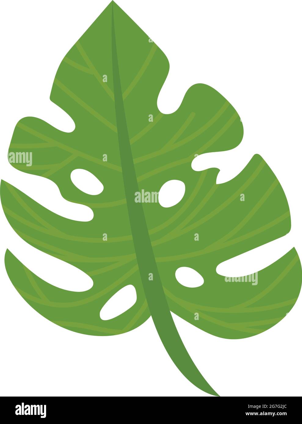 pretty monstera illustration Stock Vector Image & Art - Alamy