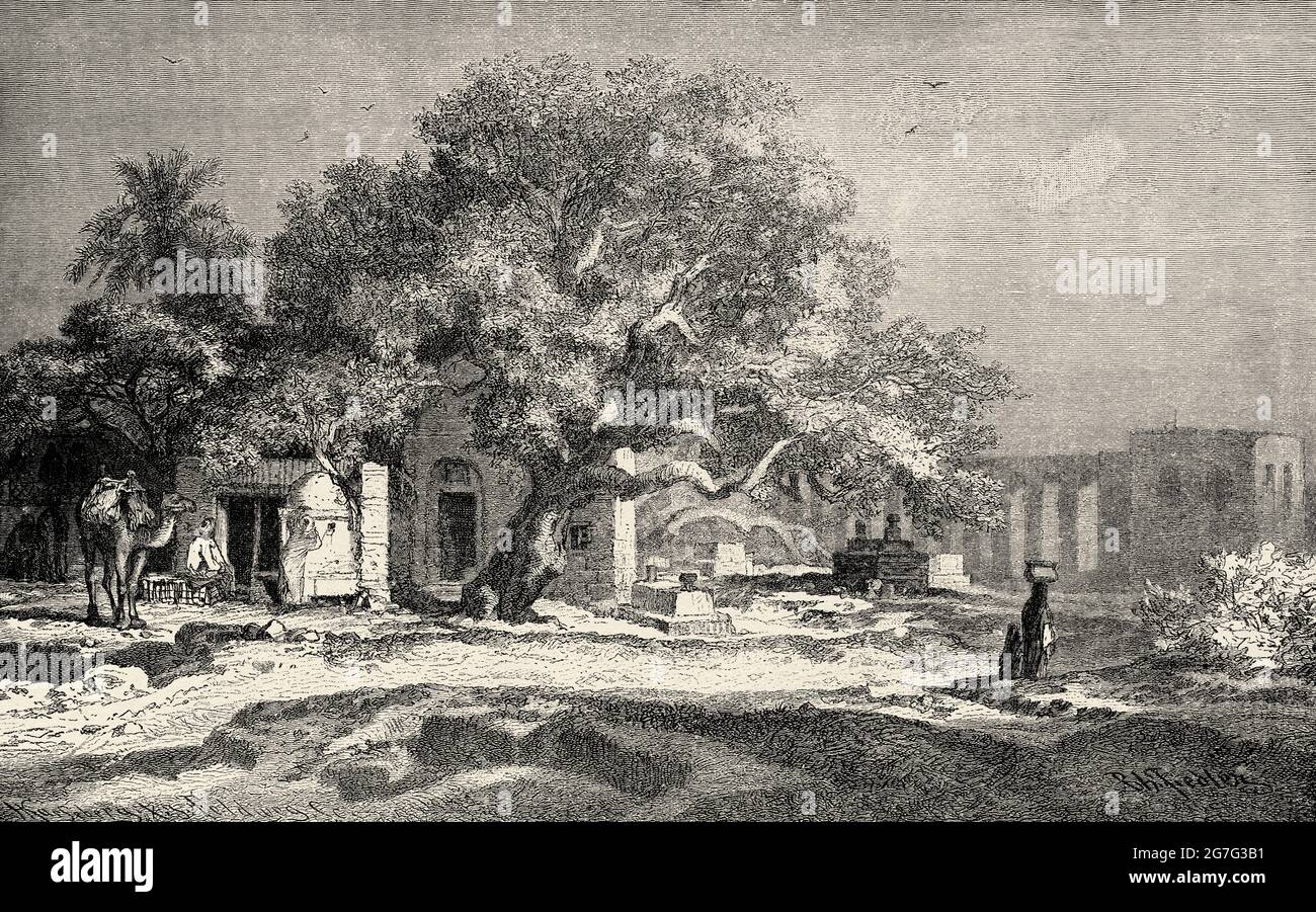 Ancient aqueduct, Egypt, North Africa. Old 19th century engraved ...