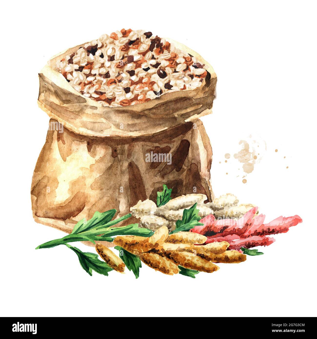 Mixed quinoa seeds in the paper sack and quinoa plant. Hand drawn ...