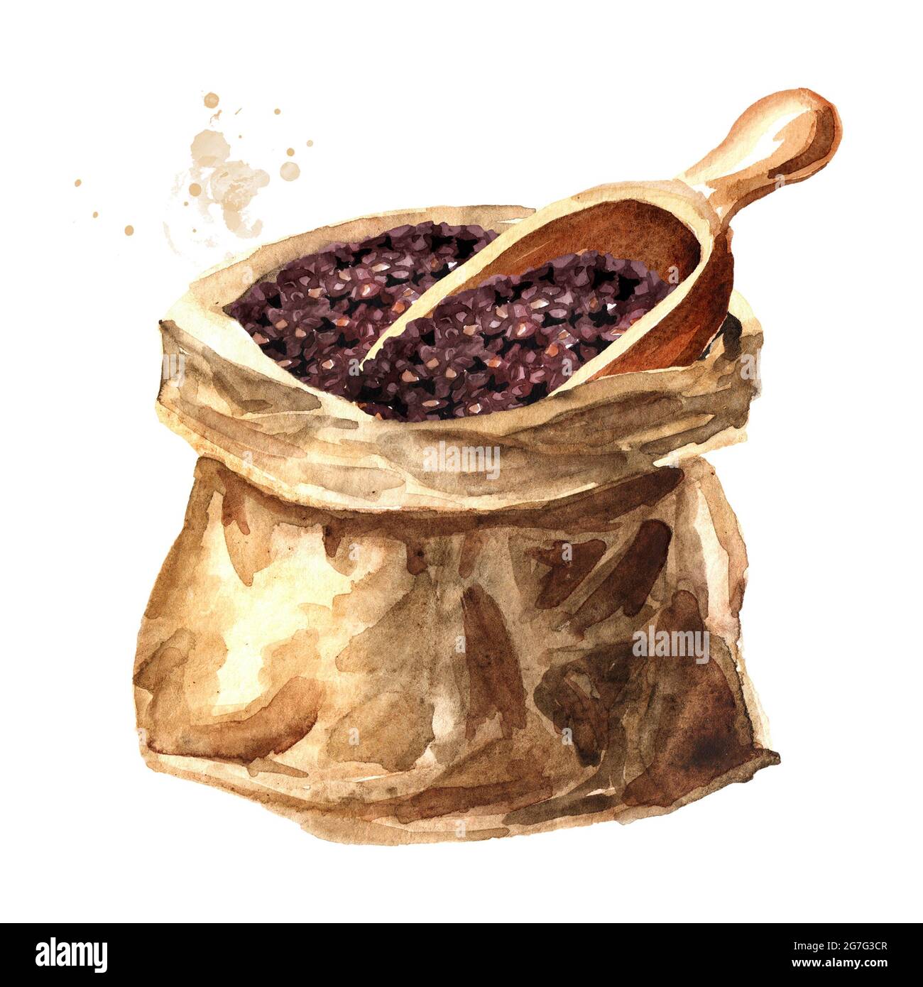 Black quinoa seeds in the paper sack. Hand drawn watercolor ...