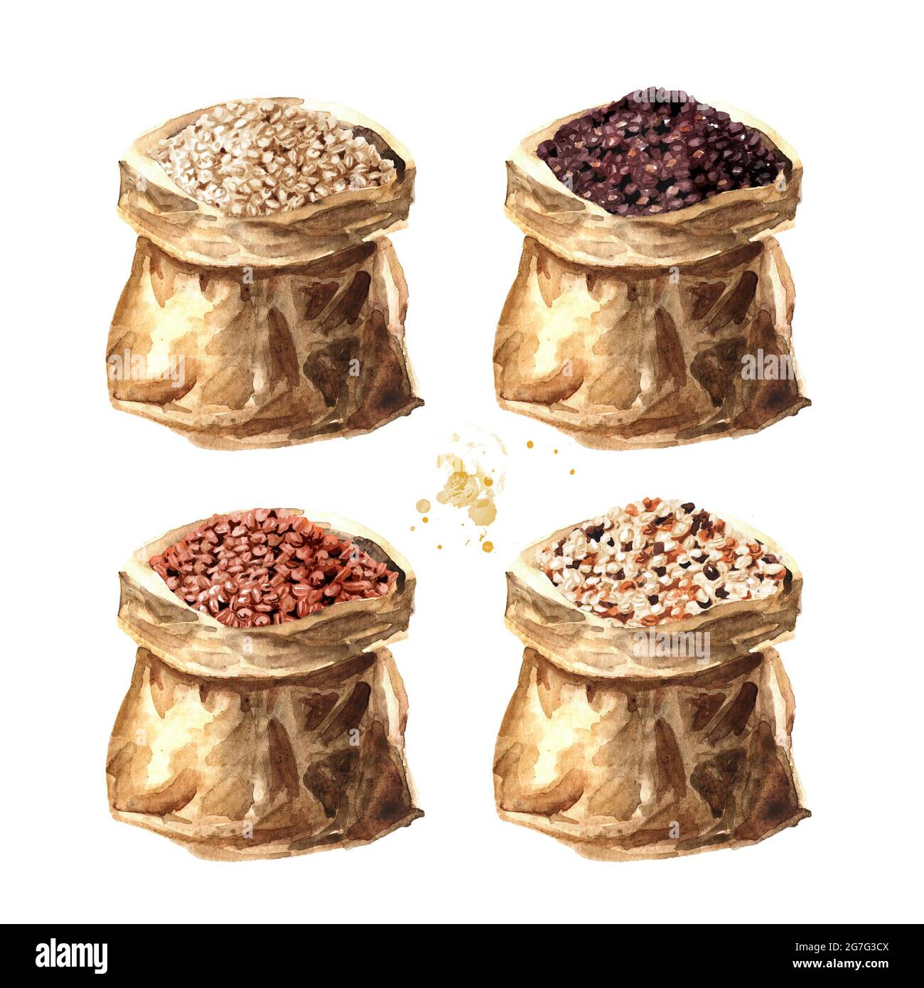 Quinoa seeds in the paper sack set. Hand drawn watercolor illustration ...