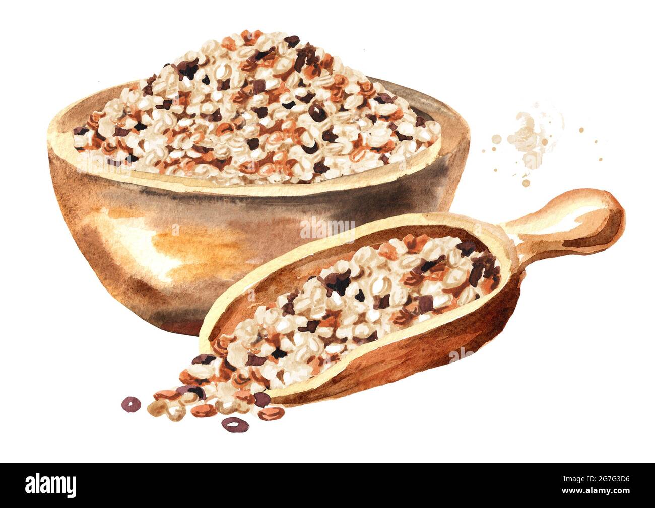 Mixed quinoa seeds in the bowl. Hand drawn watercolor illustration ...
